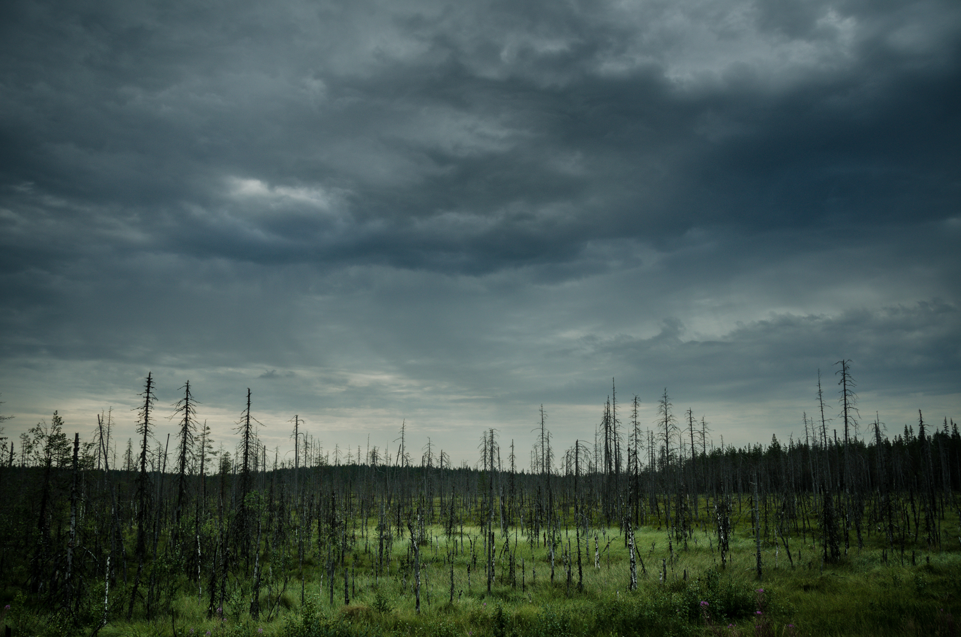 JAKUBRYBICKI.PL | Disturbing landscape